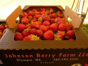 Johnson Berry Farm Stand - Johnson Berry Farm